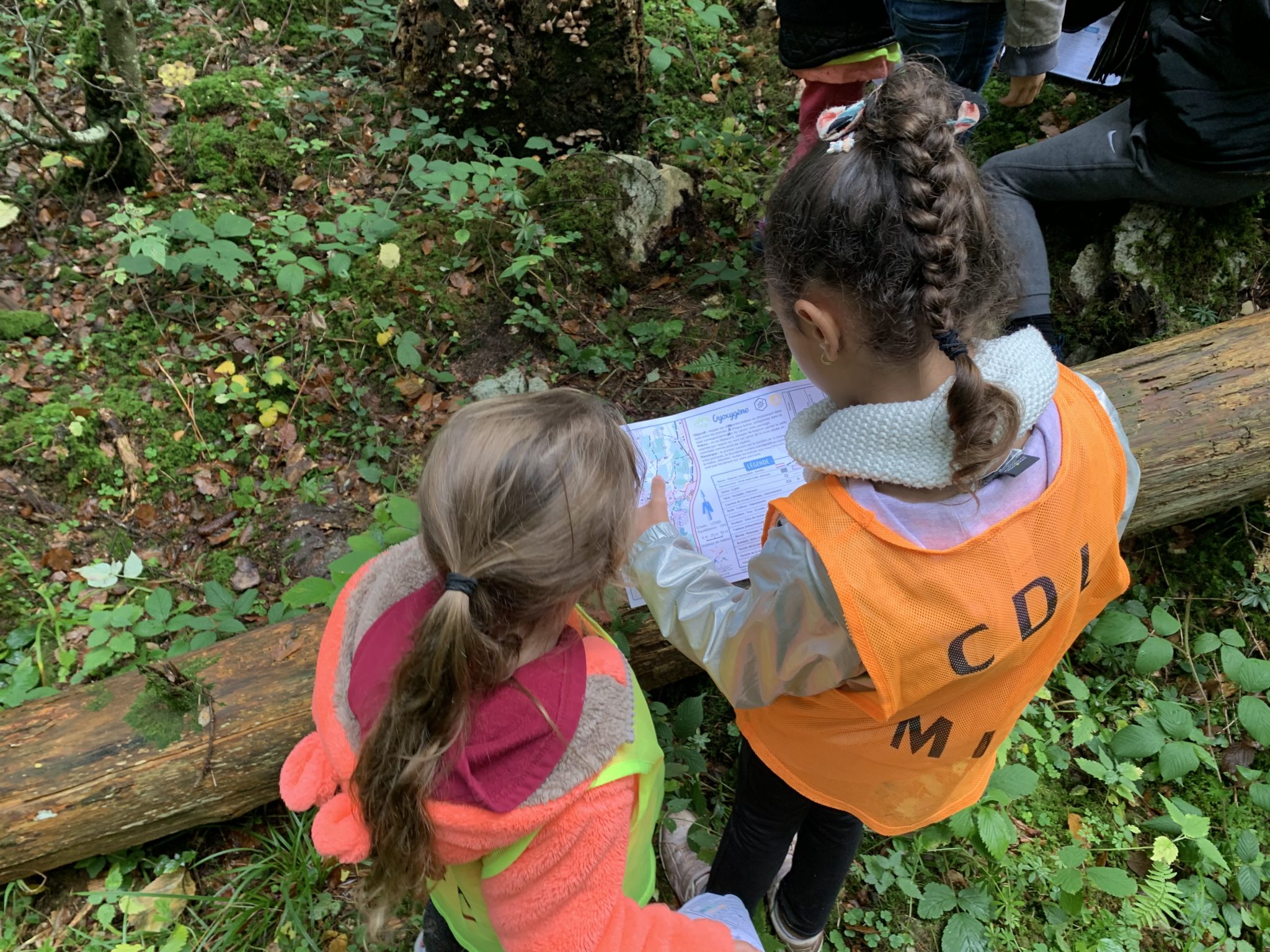 Animation Course d'Orientation - Scolaire - Parc d'Aventures Oyoxygène